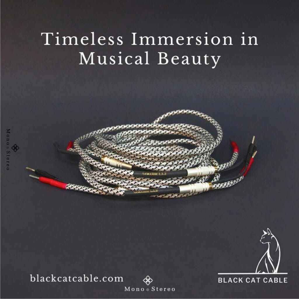 Black Cat Cable Back In Production – Ultimate High-Fidelity