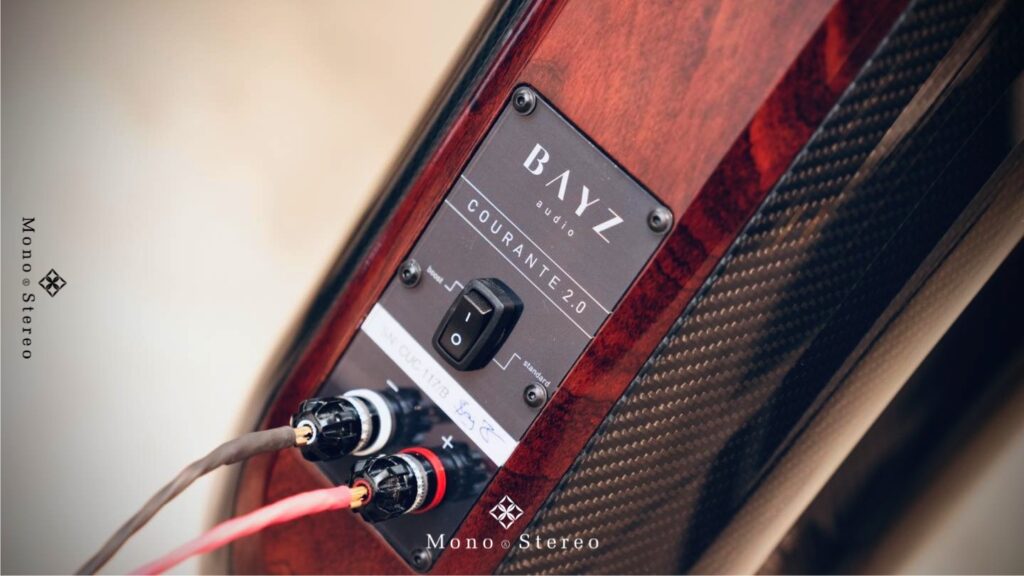 Bayz Audio Courante Speakers – M & S | Ultimate High-Fidelity