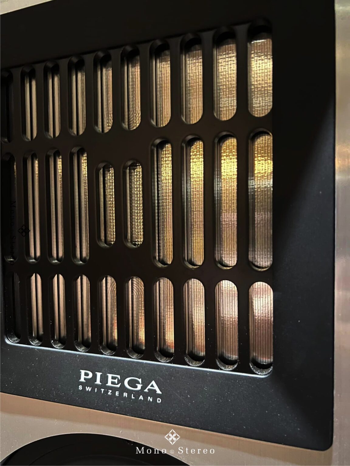 Piega Coax 811 Speakers – Ultimate High-Fidelity