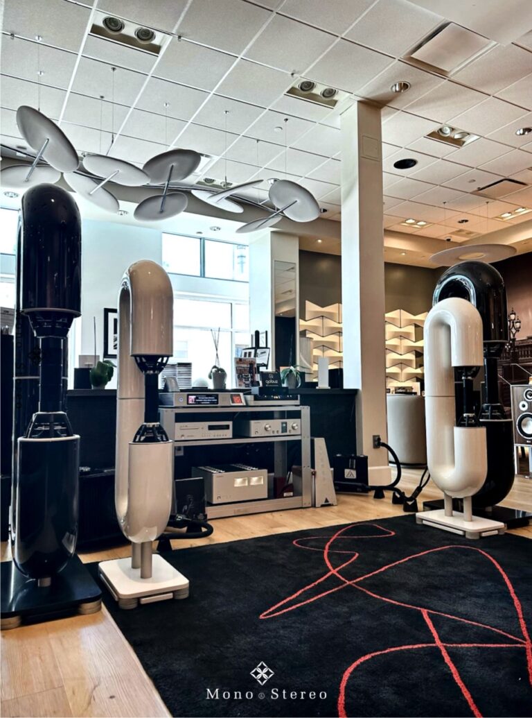 BAYZ Audio – Black & White – Ultimate High-Fidelity
