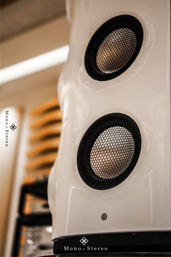 Vivid Audio Moya M1 – Ultimate High-Fidelity