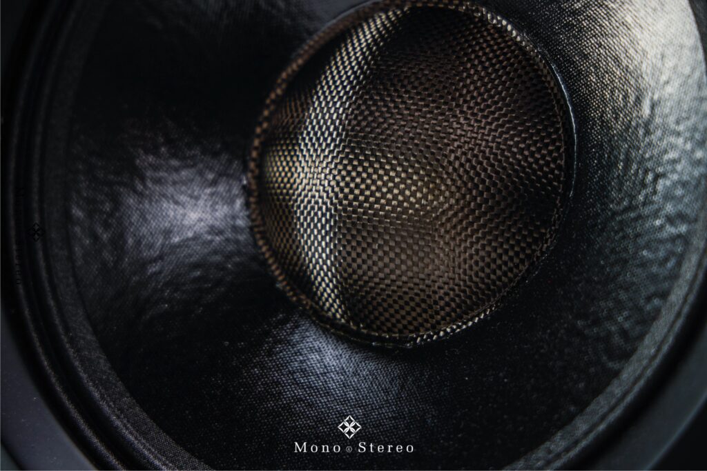 O Audio Icon 12 Speakers – Ultimate High-Fidelity
