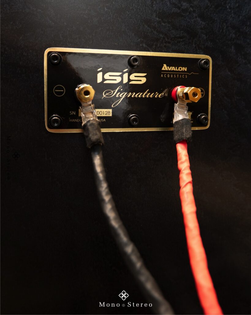 Avalon ISIS Signature Speakers – Ultimate High-Fidelity