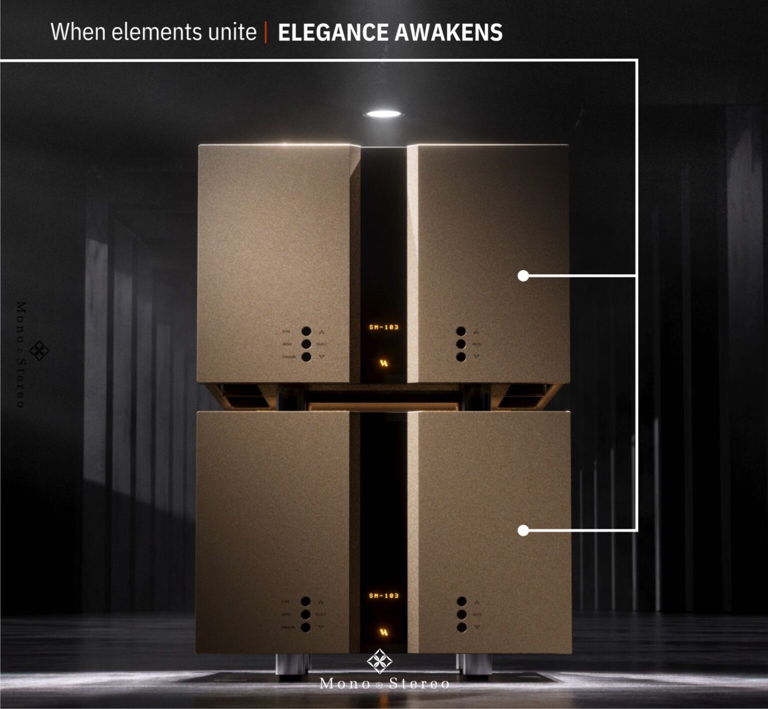 Vitus Audio Ethos – When elements unite, elegance awakens – Ultimate ...