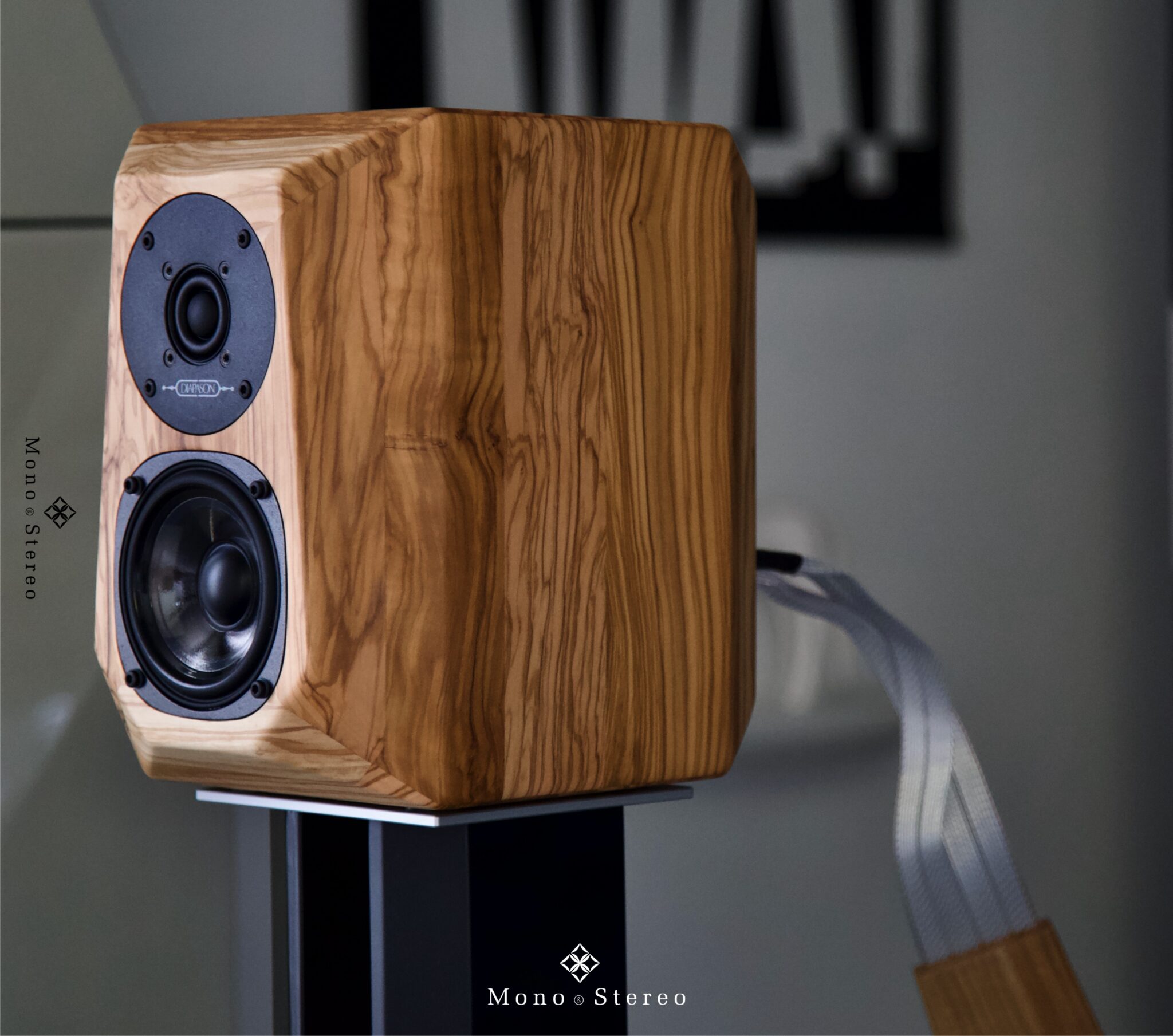 Diapason Karis III Olive Speakers Review – Ultimate High-Fidelity