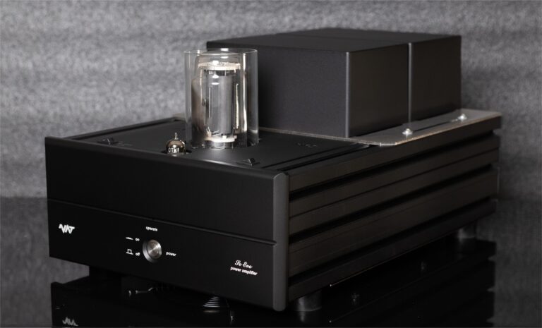 NAT Audio Se Evo Single-Ended Mono Block Power Amplifier – Ultimate ...